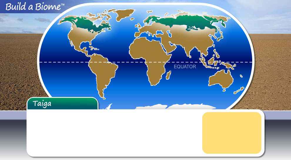 Taiga World Map Taiga Biome, Boreal Snow Forest. Terrestrial Ecosystem